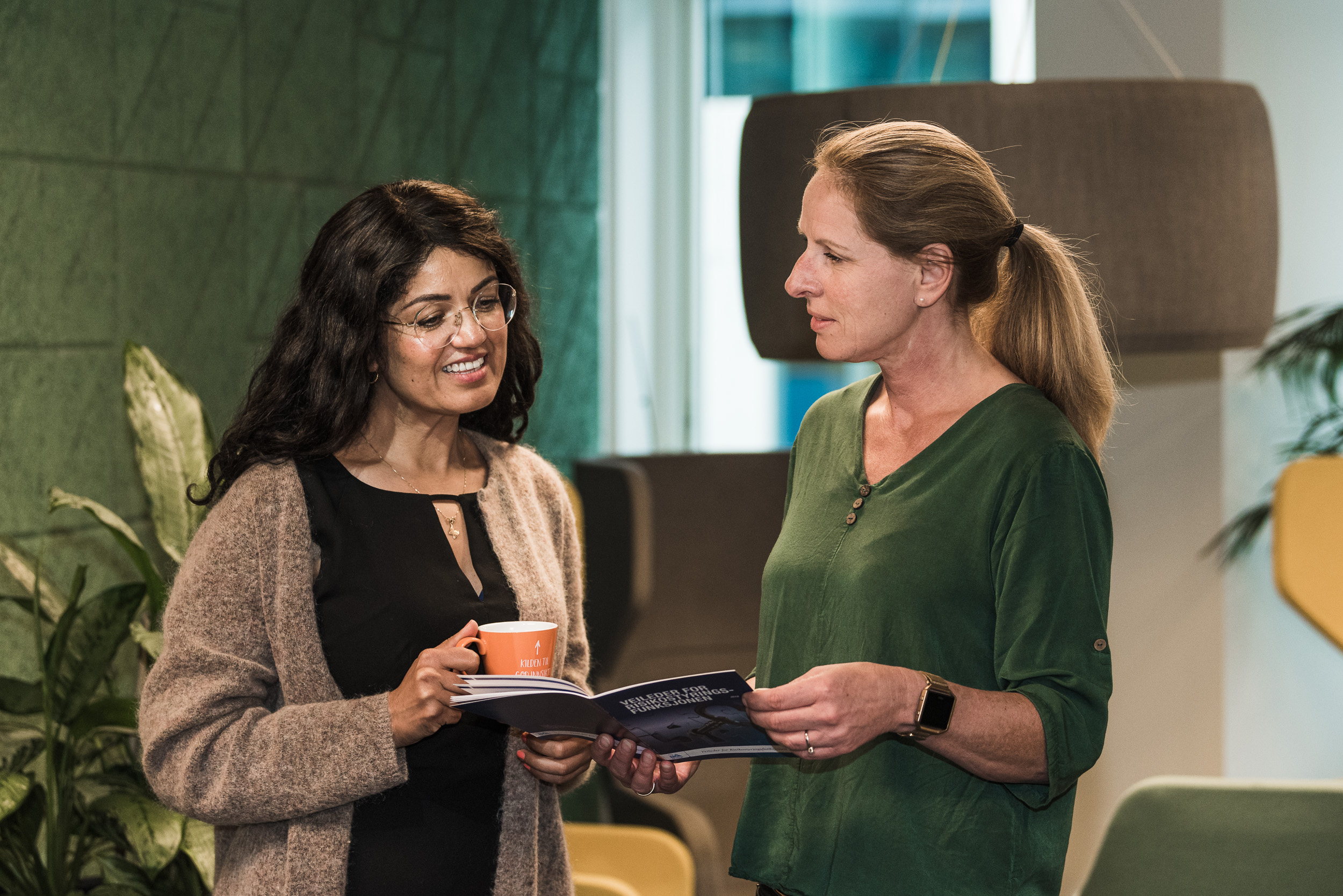 Veiledere og verktøy - IIA