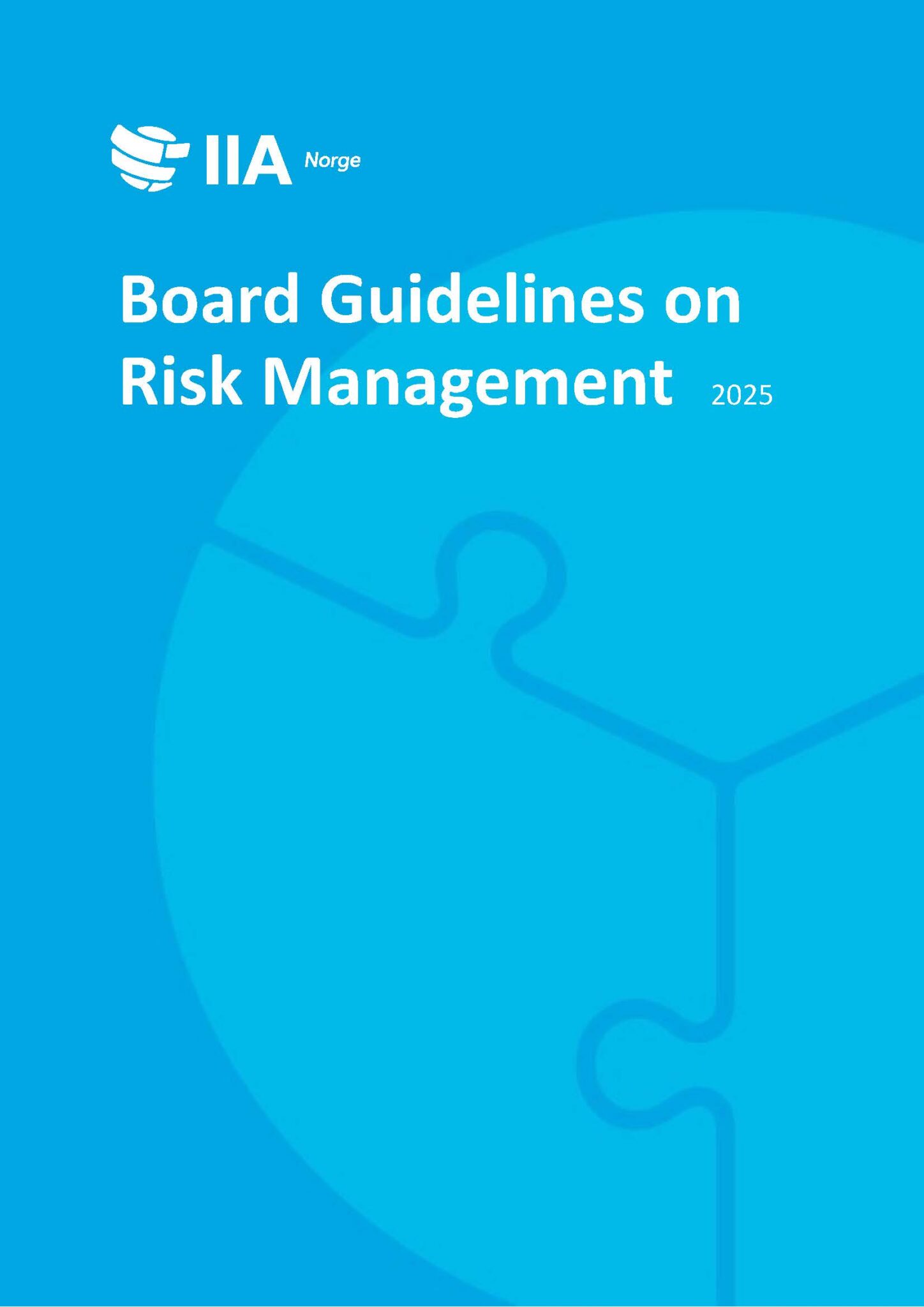 “Questions the Board should raise about Risk Management” (2025) - IIA