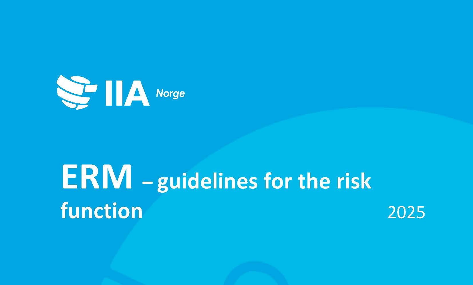 ERM – guidelines for the risk function - IIA